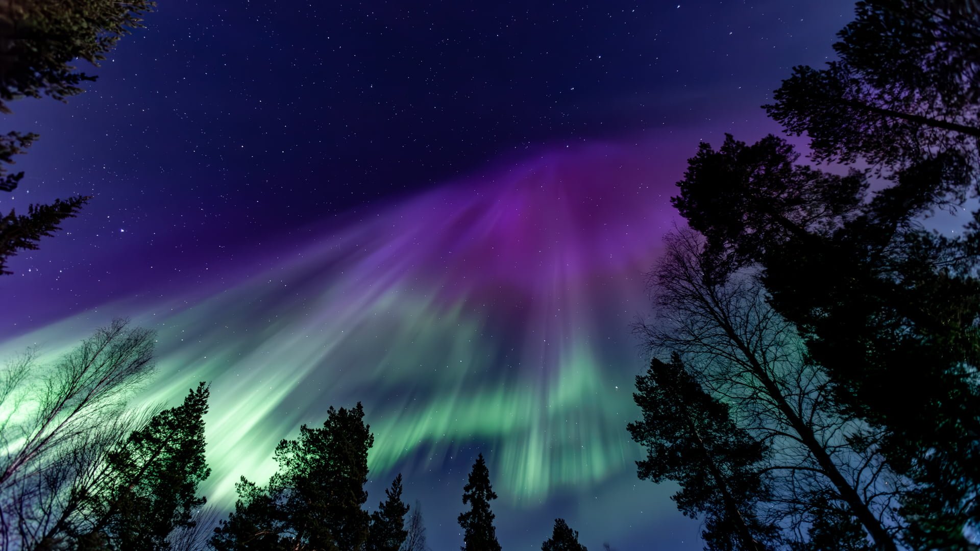 Get Ready for a Spectacular Aurora: Severe G4 Geomagnetic Storm ...