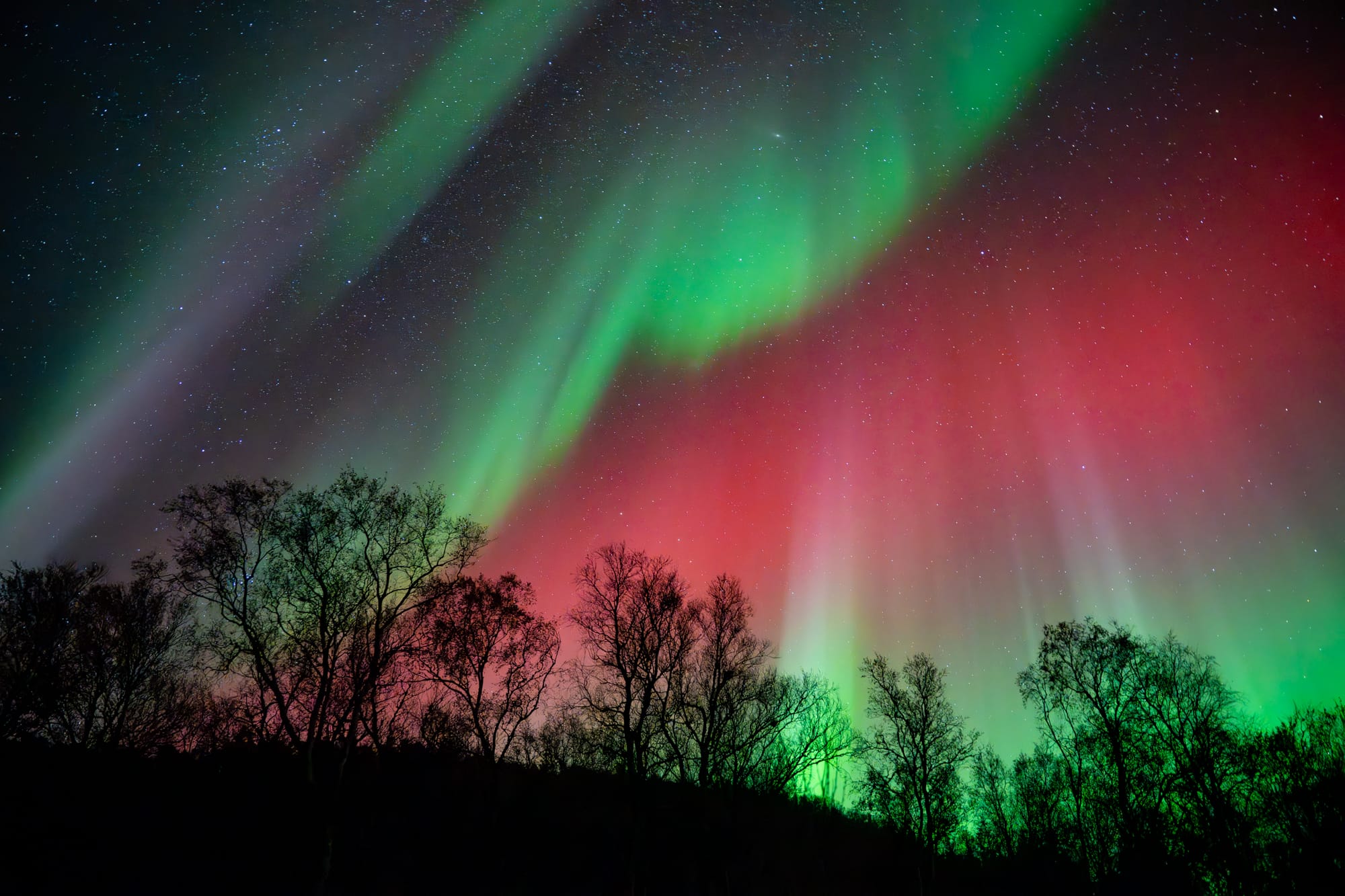 The Northern Lights Company - Norway Holidays & Photography Trips